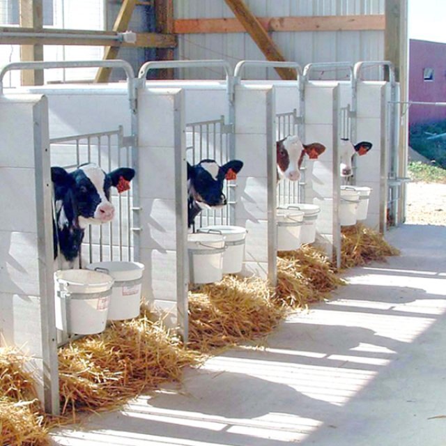 Canarm Hoop Style Comfy Calf Suites Indoor Pen | Embro Farm Systems ...