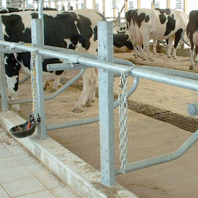 Canarm Rectangular Post Tie Stall | Embro Farm Systems - Embro Ontario ...