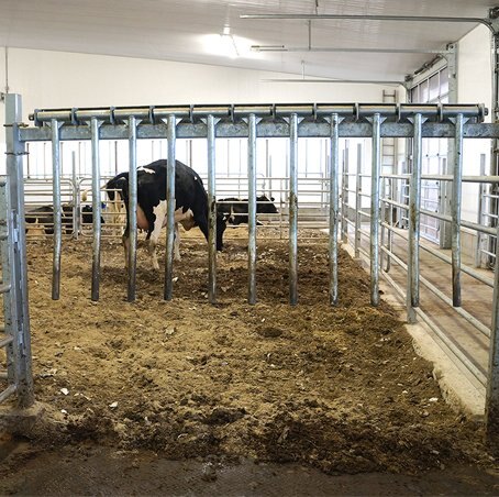 Canarm Finger Gate | Embro Farm Systems - Embro Ontario, AG equipment