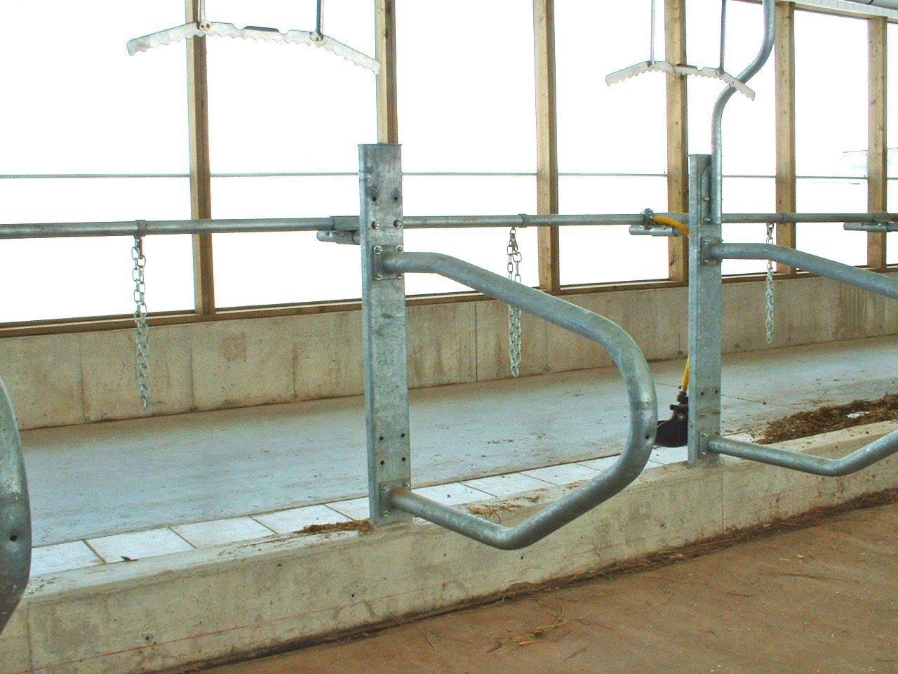 Canarm Rectangular Post Tie Stall | Embro Farm Systems - Embro Ontario ...