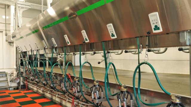 GEA Side-by-Side Parlor Global 90 Vertical Lift | Performance Dairy ...