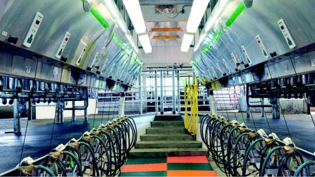 GEA Side-by-Side Parlor Magnum 90i Vertical Lift | Performance Dairy ...