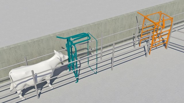 GEA Animal Sorting AutoSelect | Performance Dairy Centre Inc. Embro ...